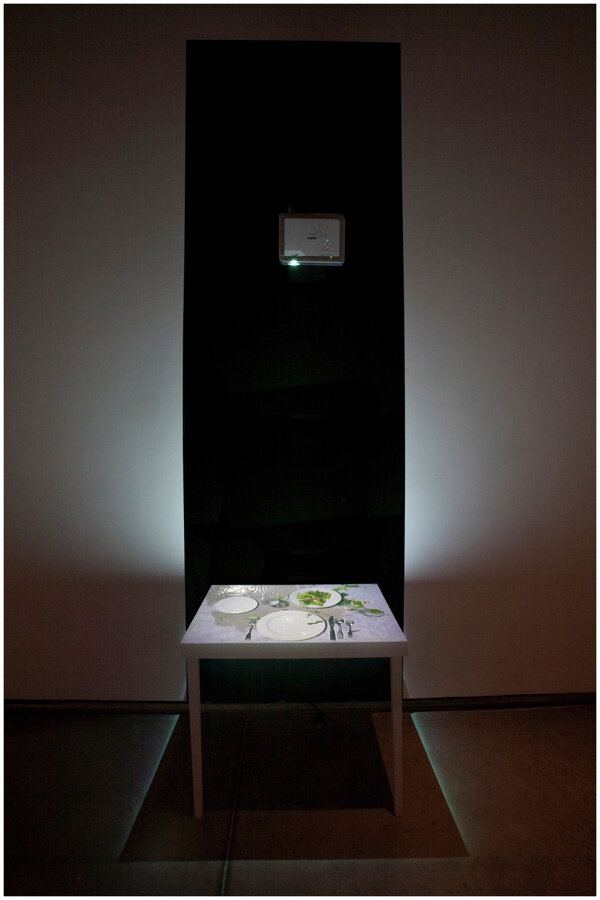 Michael Snow « Artists « Jack Shainman Gallery